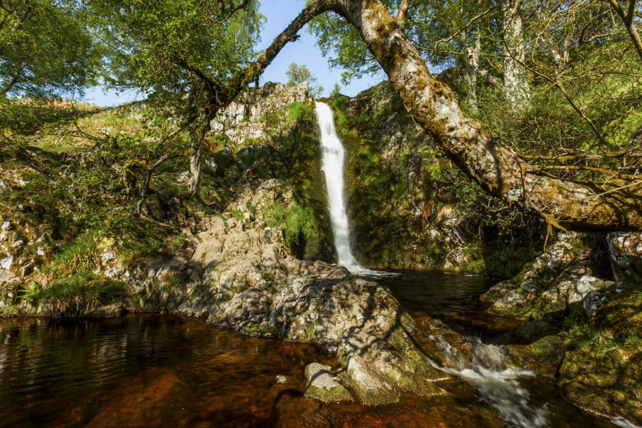 A Walk on the Wild Side - Eshott Hall